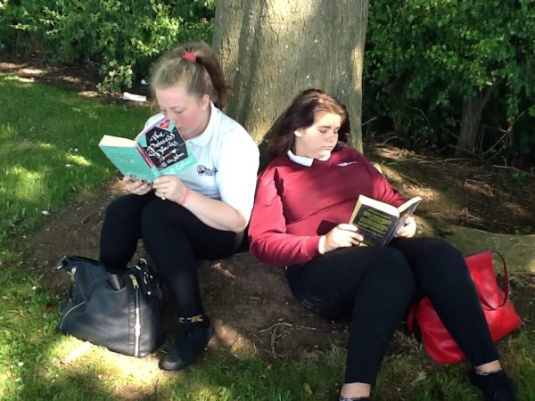 Year 8 Outdoor Library Lesson PinBoard Paulet High School 6th Year 8 Outdoor Library Lesson PinBoard Paulet High School 6th