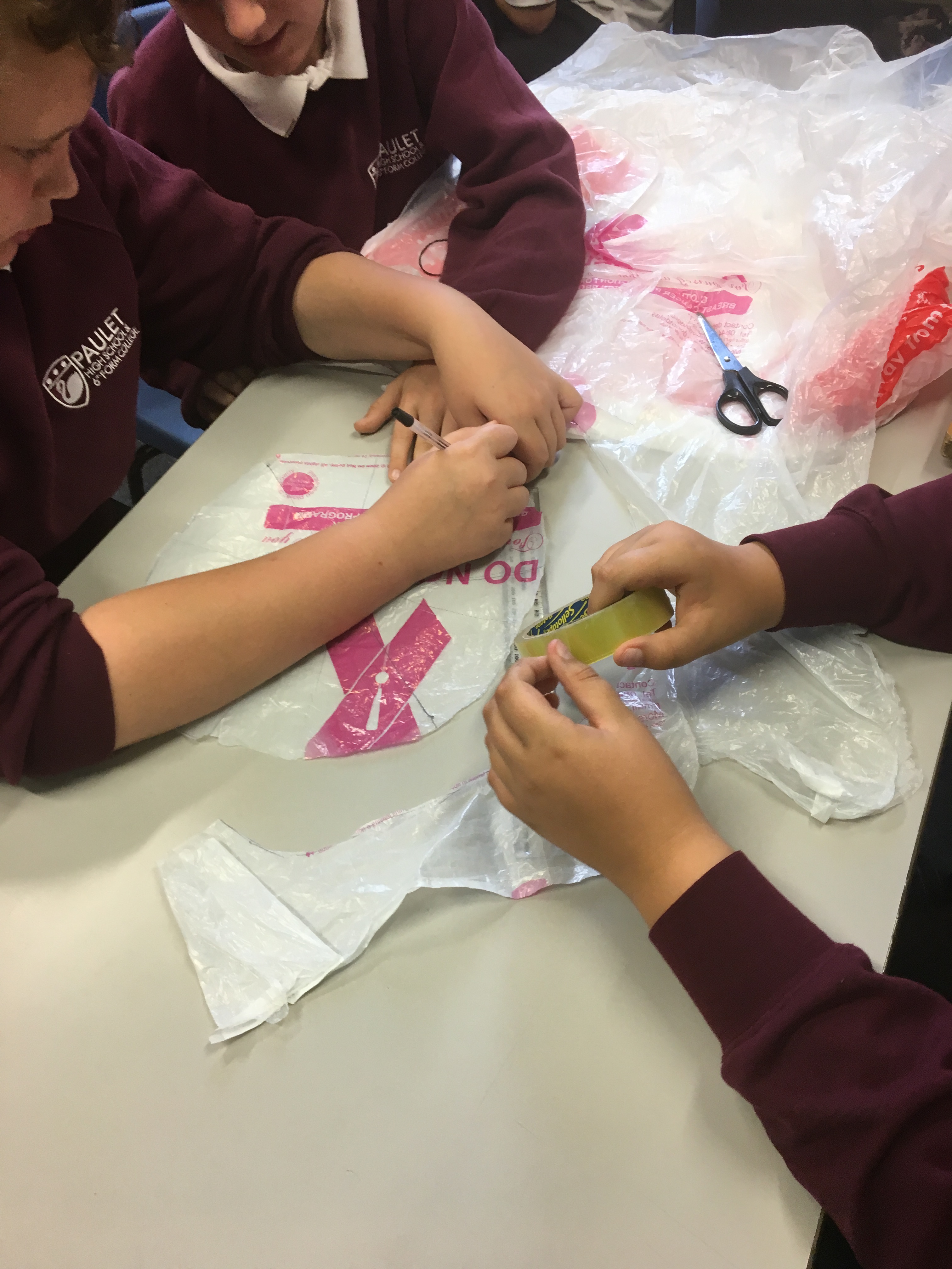 Year 7 Science ‹ PinBoard | Paulet High School & 6th Form College