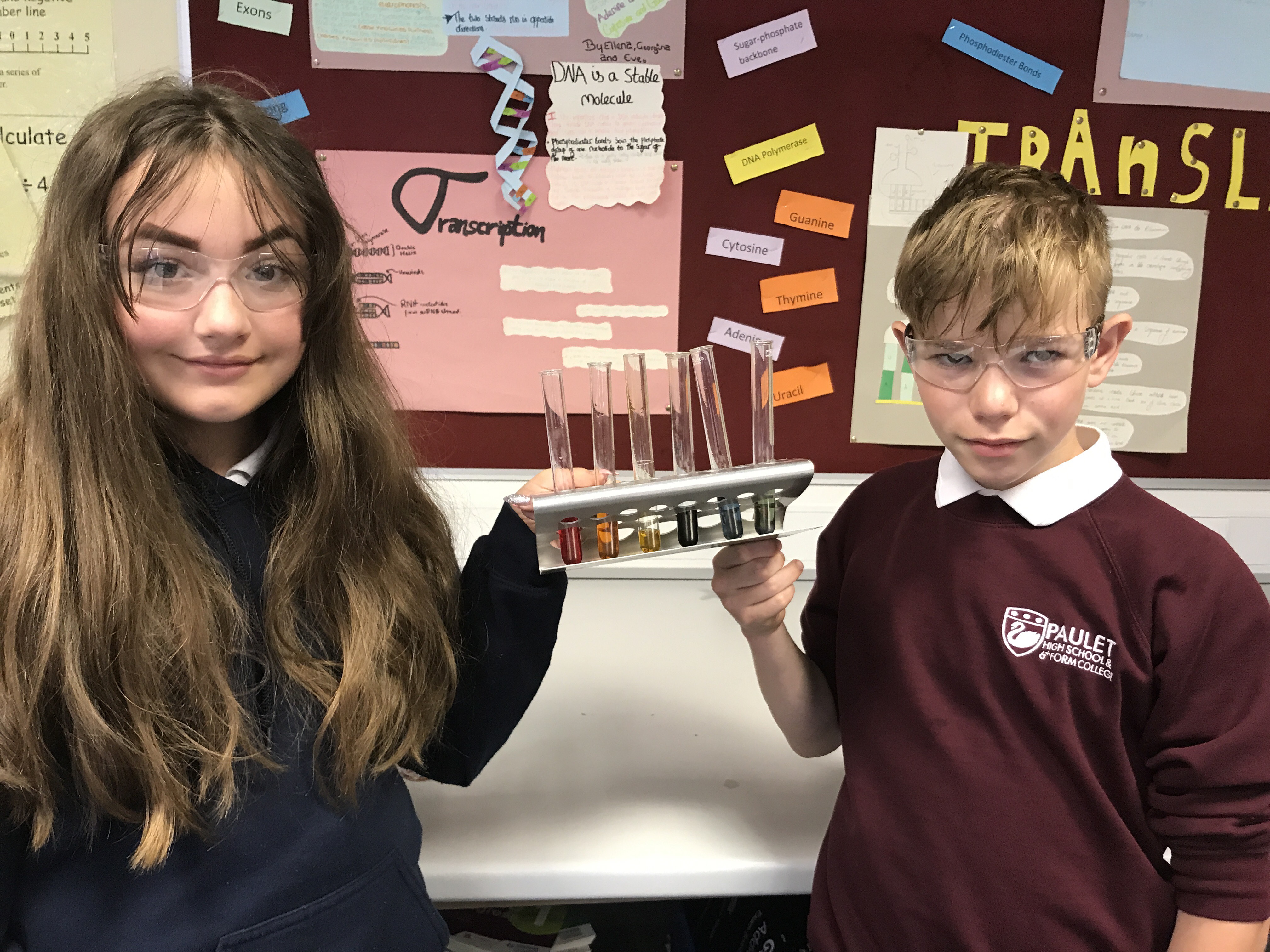 7Ca Acids and alkalis ‹ PinBoard | Paulet High School & 6th Form College