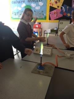 Year 7 Science ‹ PinBoard | Paulet High School & 6th Form College