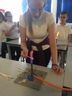 Year 7 Science ‹ PinBoard | Paulet High School & 6th Form College