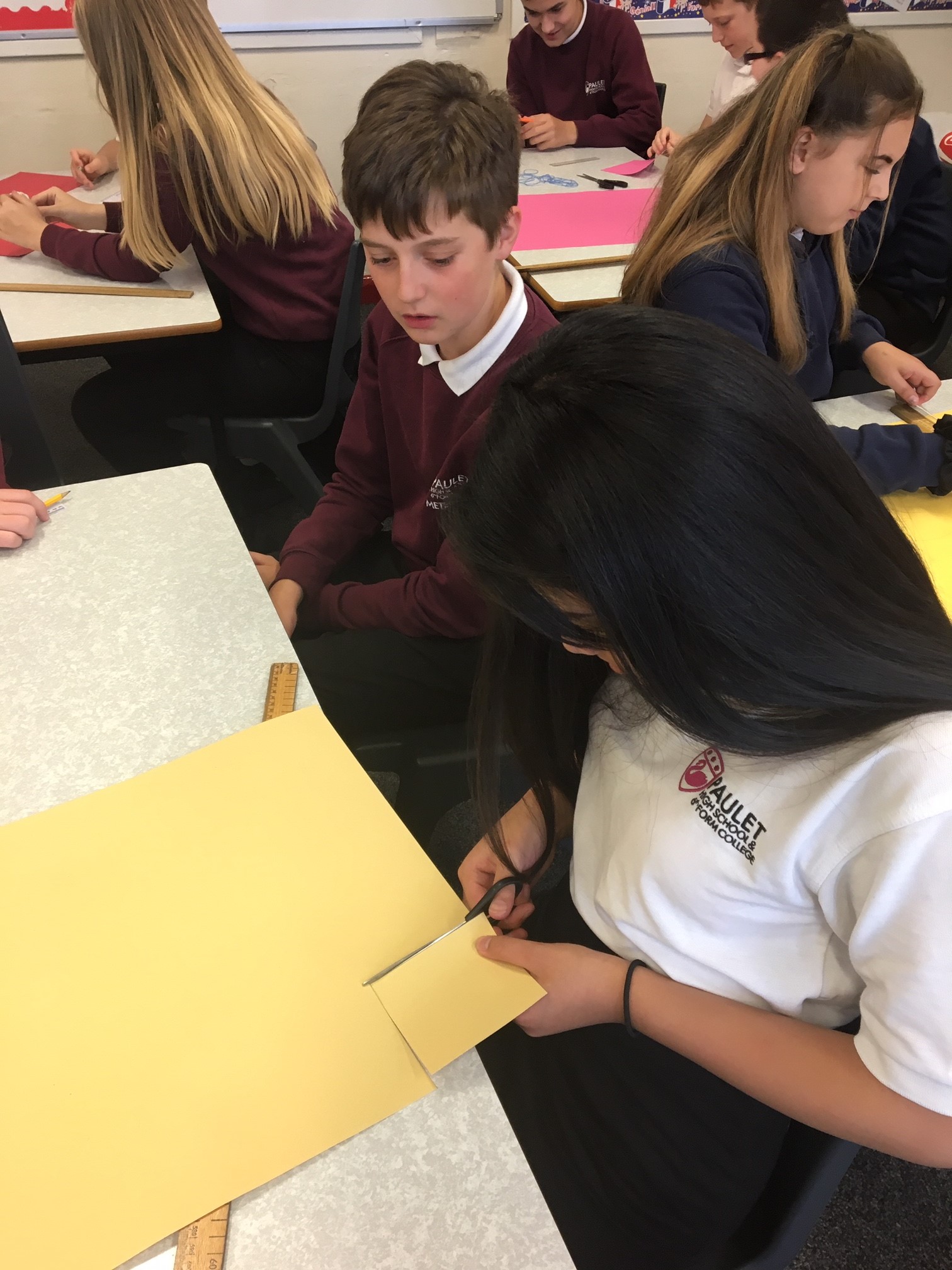 Year 8 Science – Paulet High School & 6th Form College