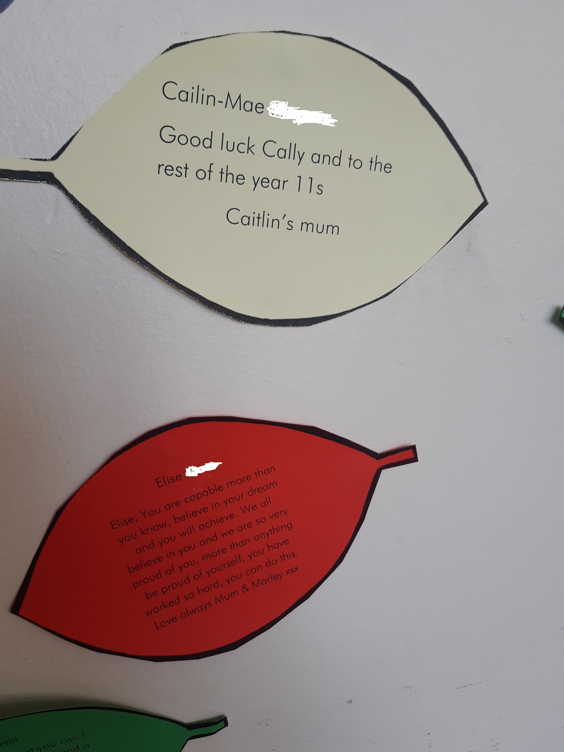 Good Luck Tree messages – Paulet High School & 6th Form College