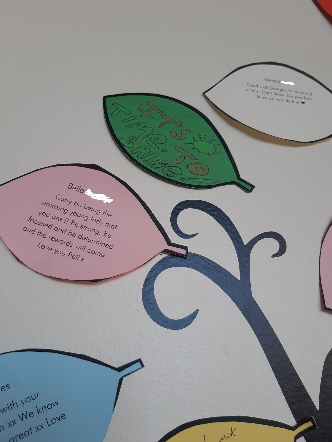 Good Luck Tree messages – Paulet High School & 6th Form College