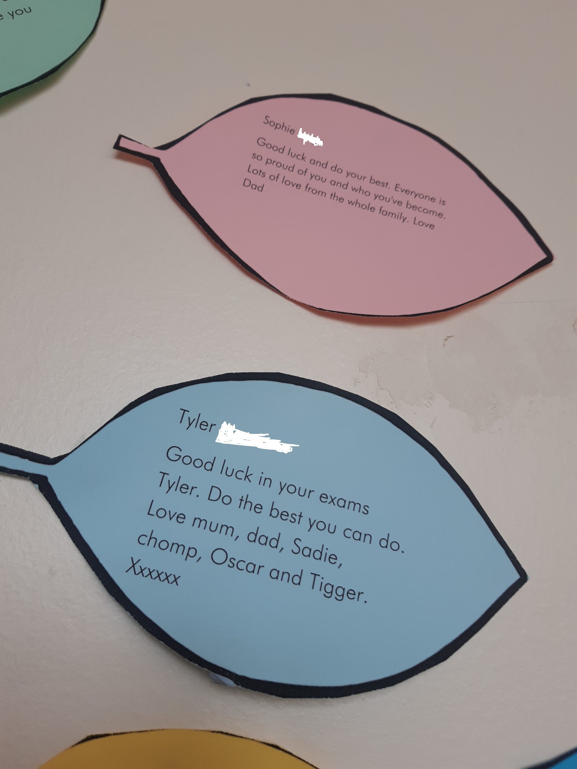 Good Luck Tree messages – Paulet High School & 6th Form College