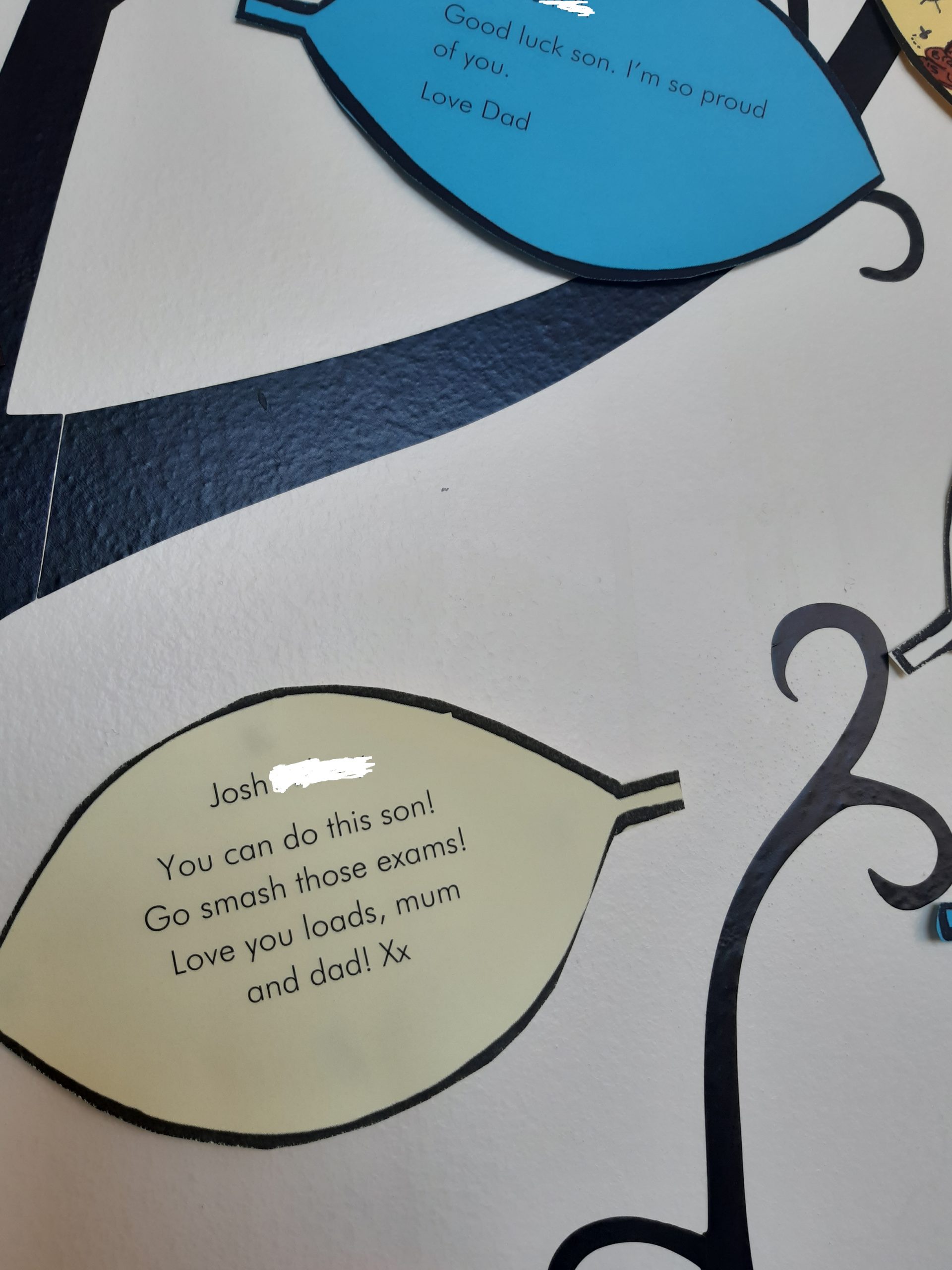 Good Luck Tree messages – Paulet High School & 6th Form College