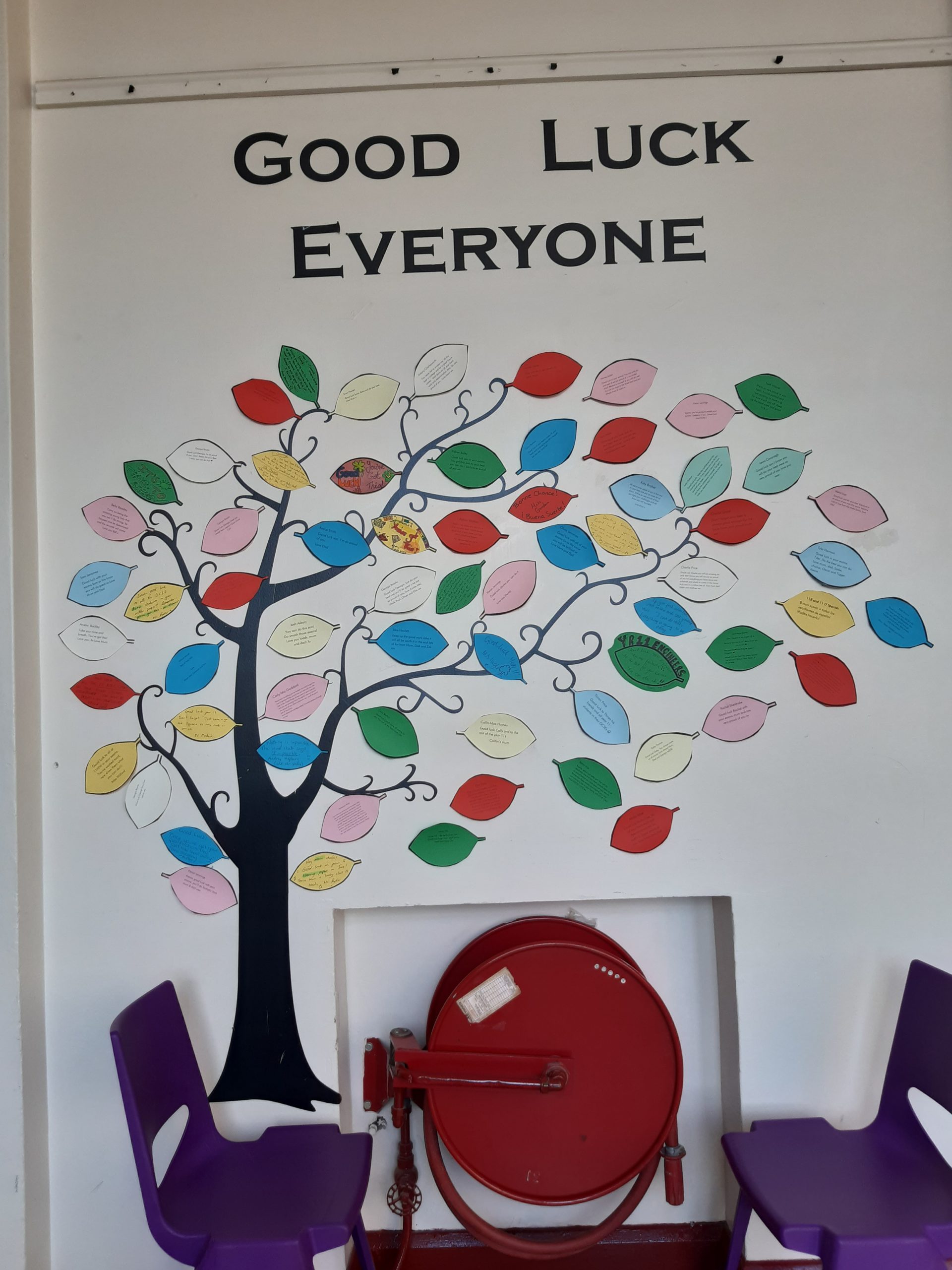 Good Luck Tree messages – Paulet High School & 6th Form College