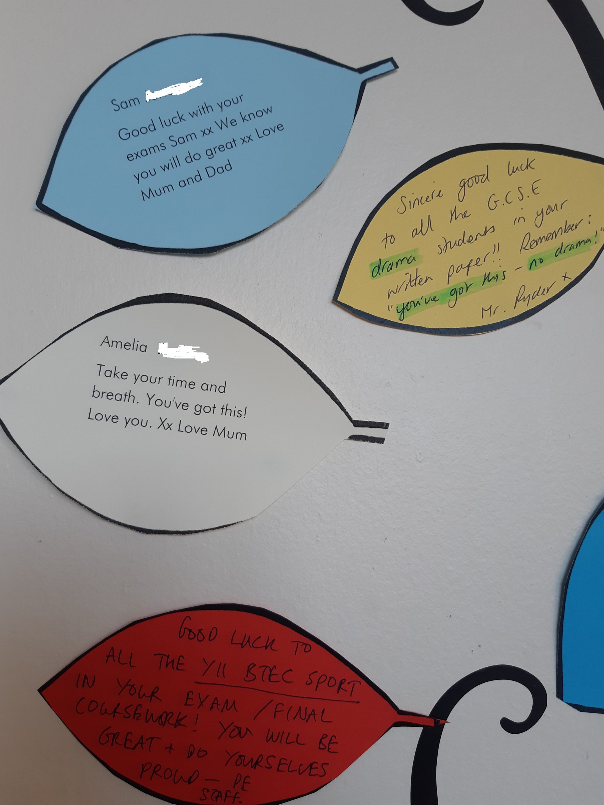 Good Luck Tree messages – Paulet High School & 6th Form College