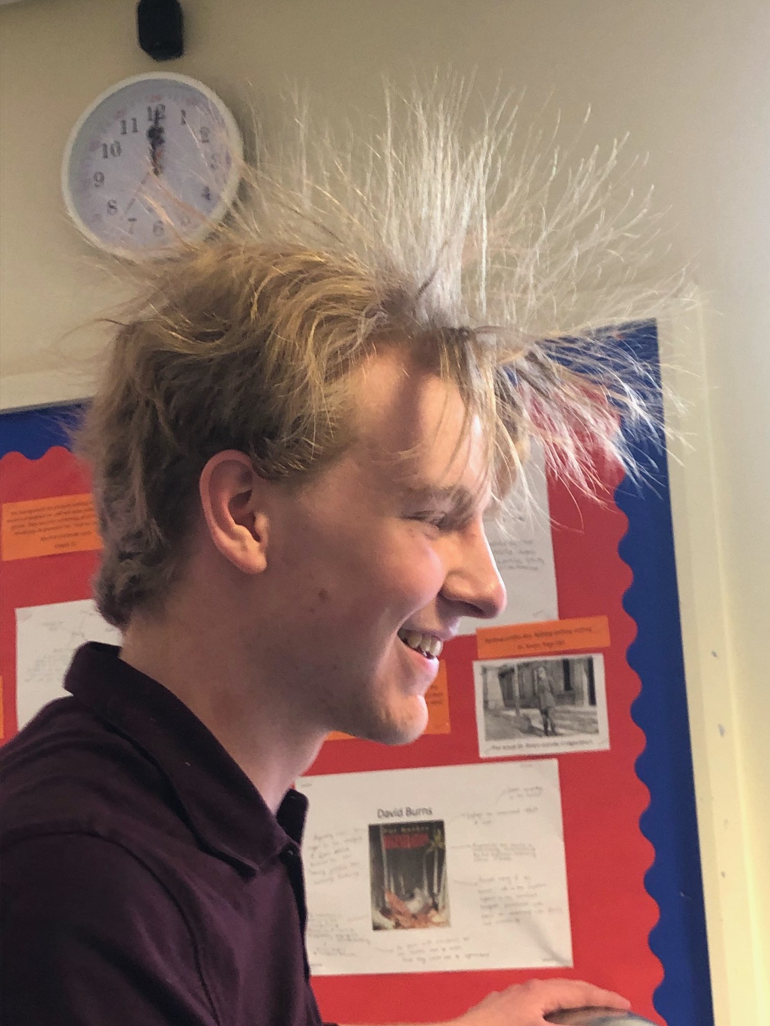 Year 12 learn about electric fields – Paulet High School & 6th Form College
