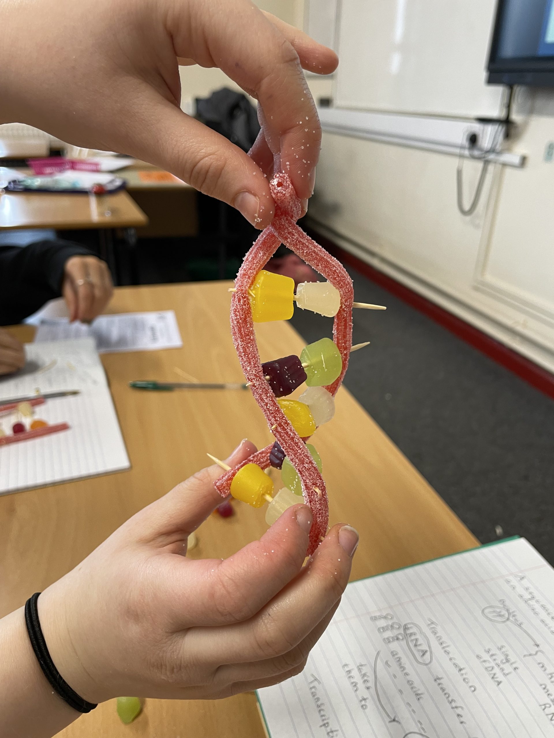 DNA sweets! – Paulet High School & 6th Form College