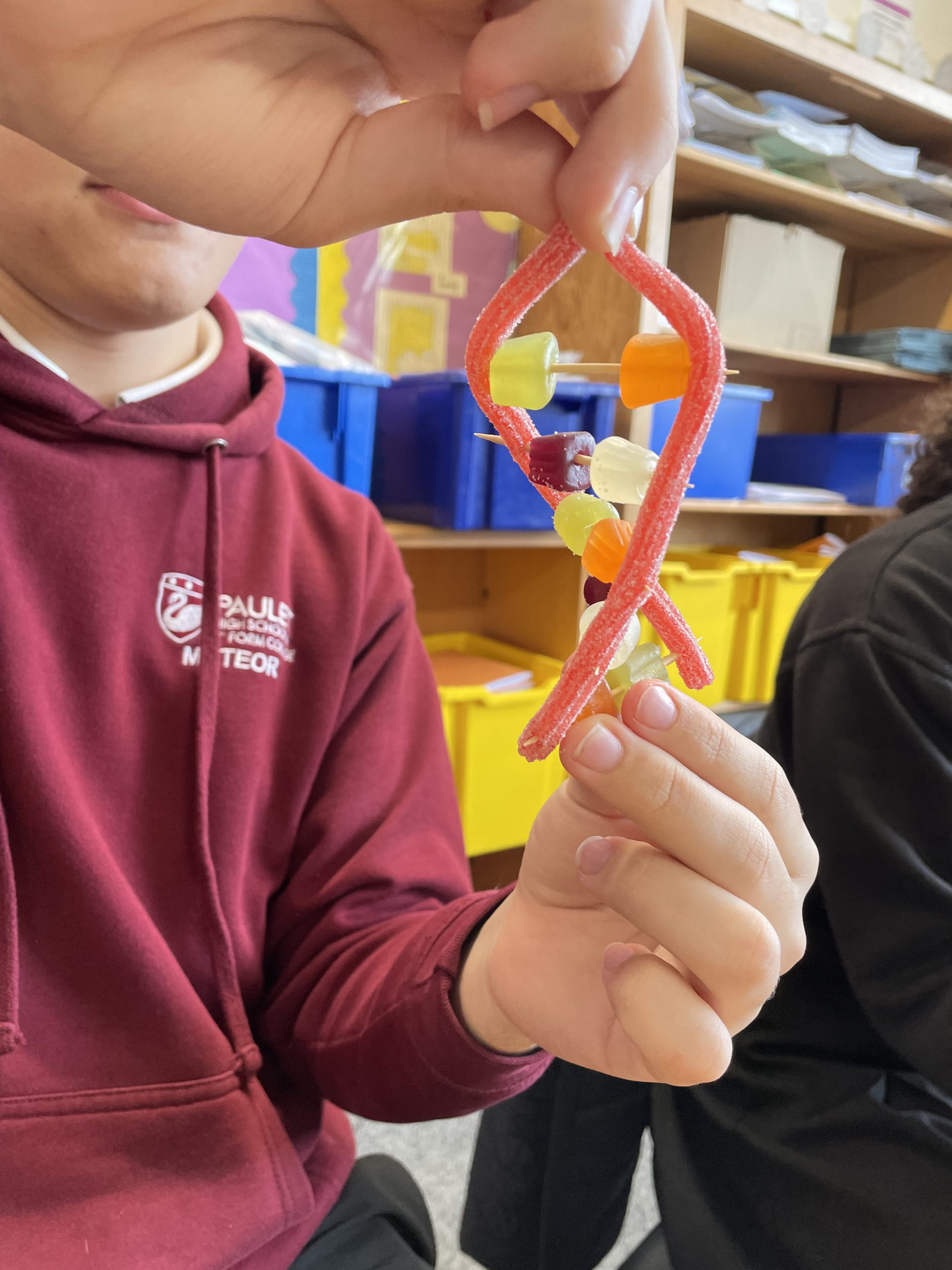 DNA sweets! – Paulet High School & 6th Form College