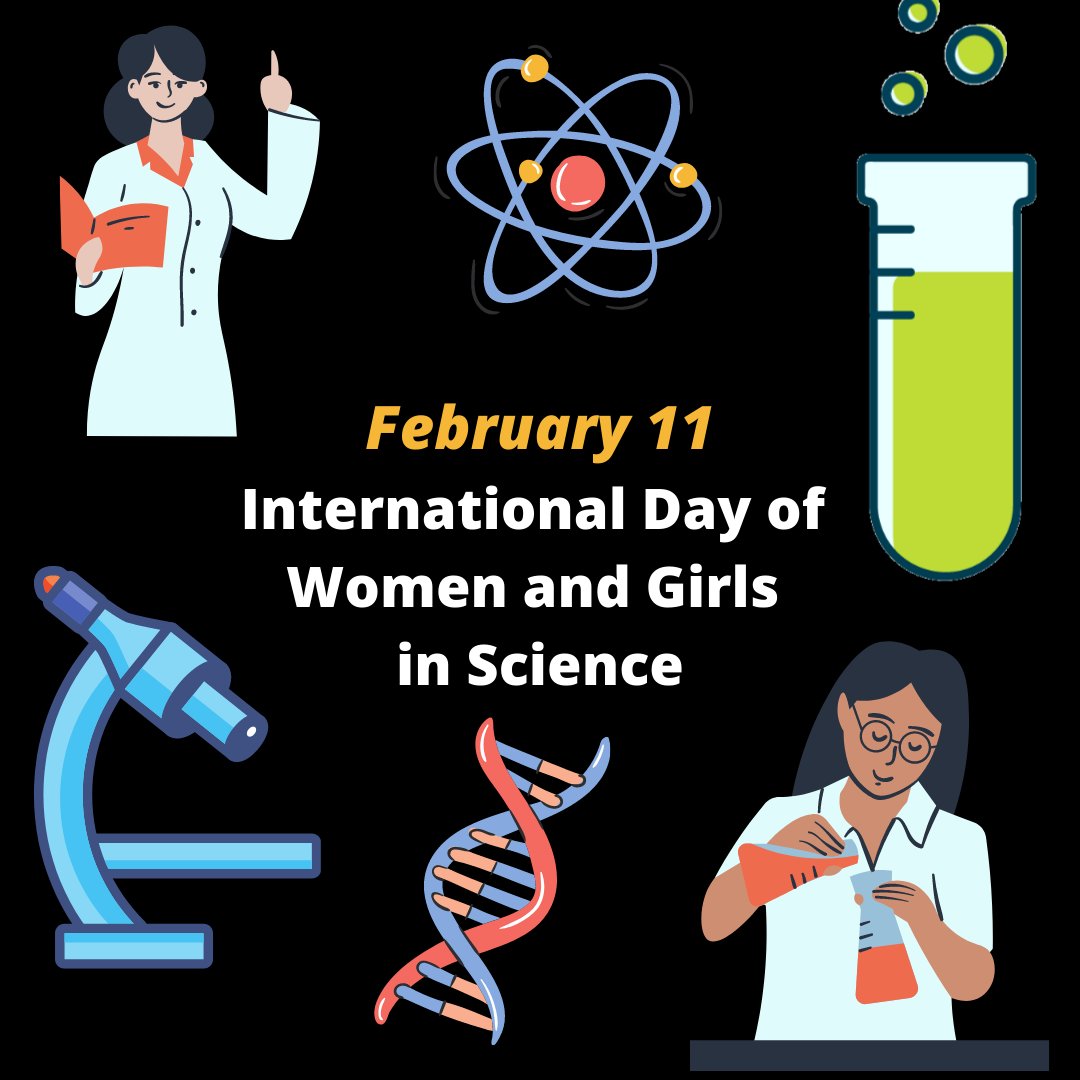 International Women in Science Day – Paulet High School & 6th Form College